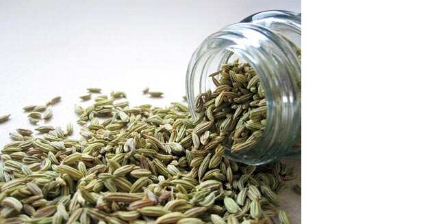Fat-busters: health benefits of fennel seeds—Femina.in | Femina.in
