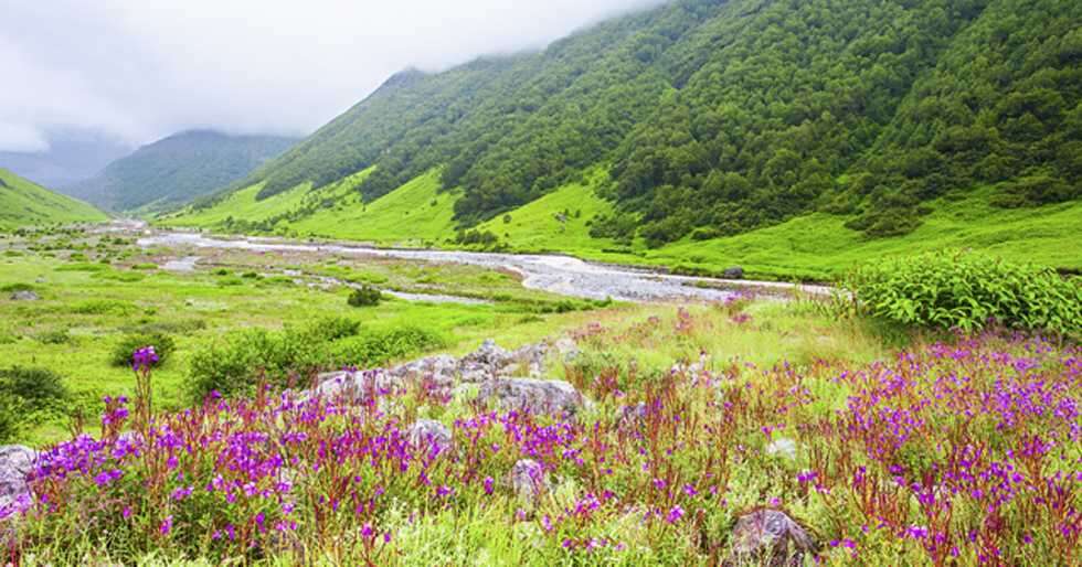 Conquer the Valley of Flowers | Femina.in