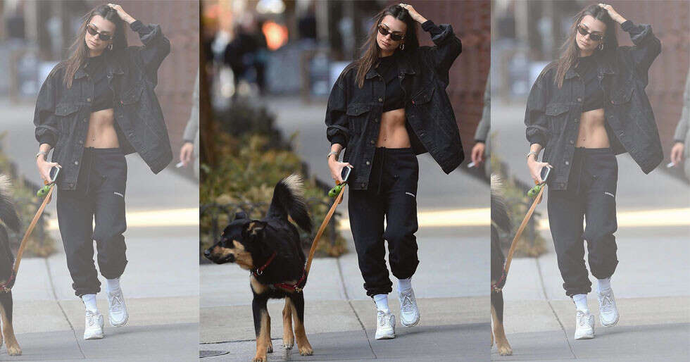 Versatile trainers to get you started on fitness whether its jogging ...