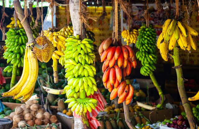 Are There Different Colored Bananas
