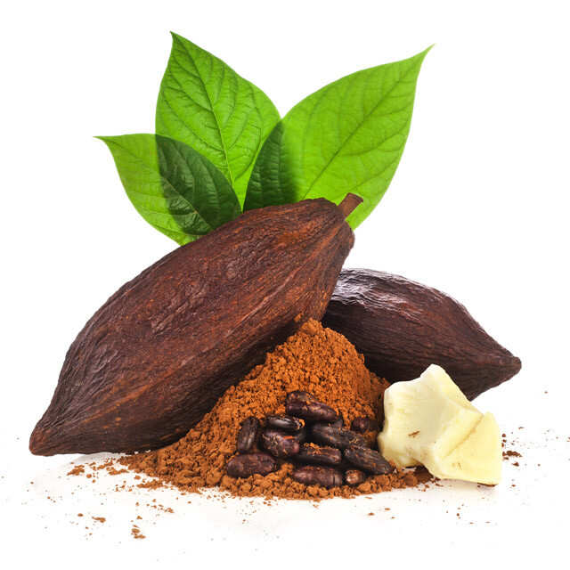 Pamper Your Skin With The Rejuvenating Benefits Of Cocoa Butter | Femina.in