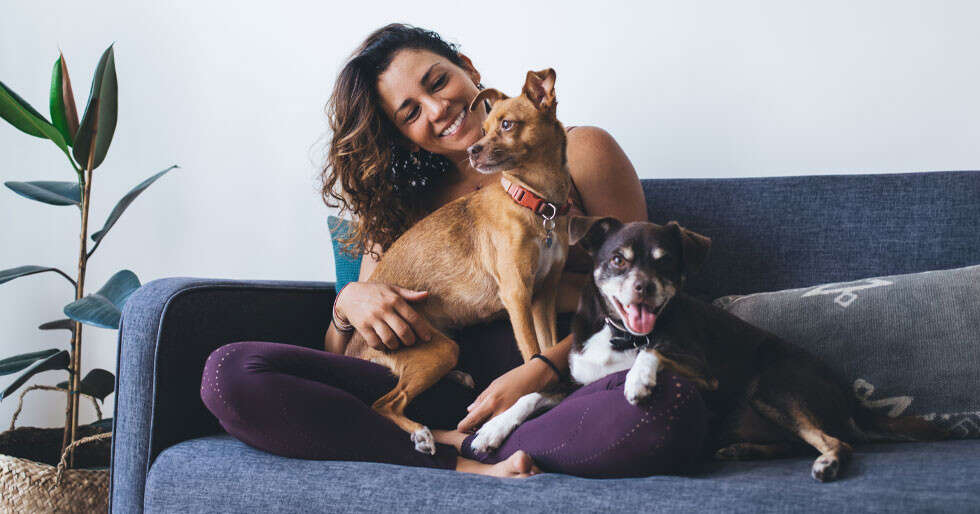 New Pet Parent? Here’s An Essential Guide To Prep Yourself | Femina.in