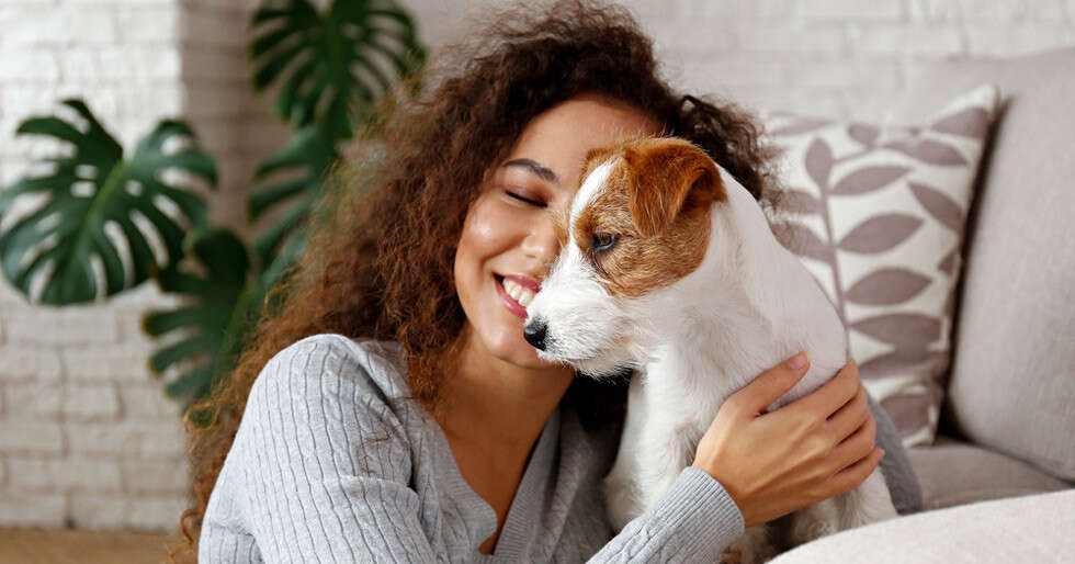 Have You Tried These Quirky Ways To Bond Over With Your Furry Friend ...