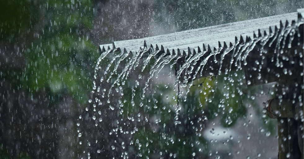 7 Ways You Can Avoid Cold This Monsoon