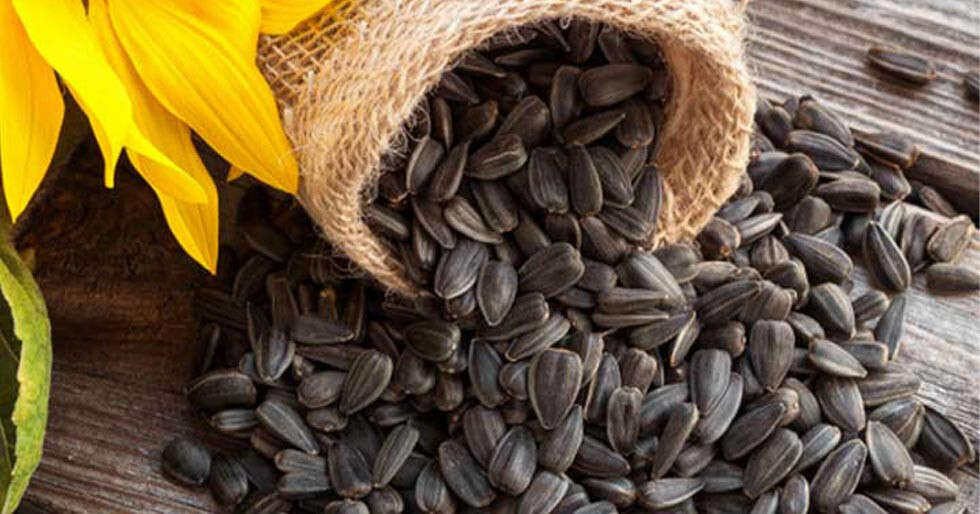 6 Sunflower Seeds Benefits For Women