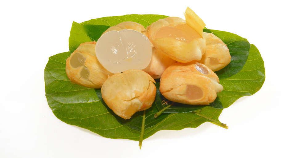 Ice Apple – The Summer Superfruit You Should Eat Before The Season Ends ...