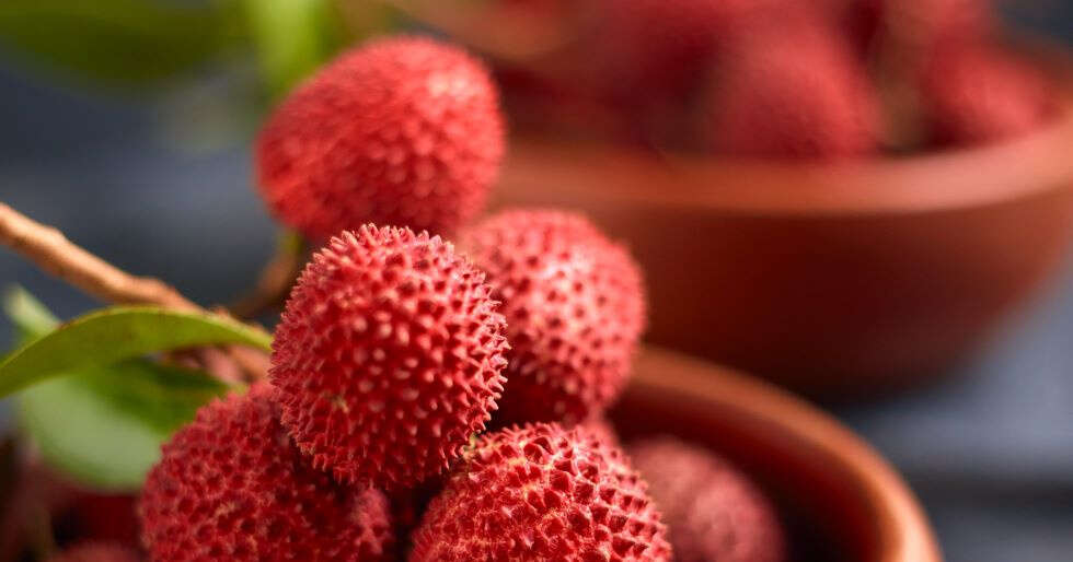 6 Hydrating Indian Summer Fruits You Must Eat This Week