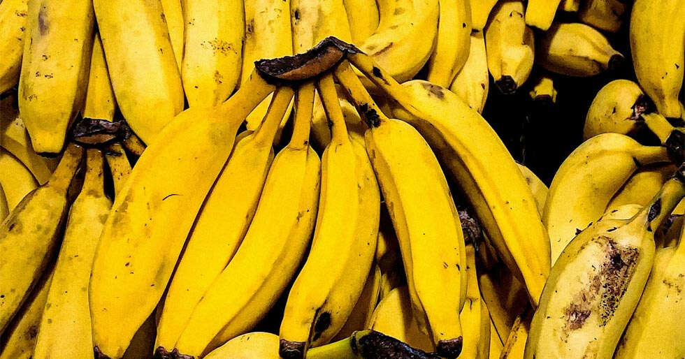 7 Ways to Stop Your Cut Bananas From Turning Mushy in The Fridge