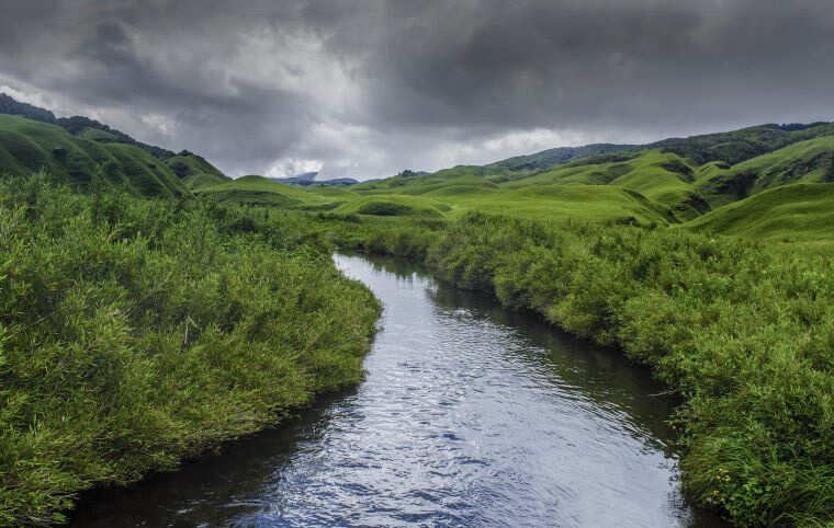 8 Stunning Dzukou Valley Photos That Will Make You Want To Visit ...