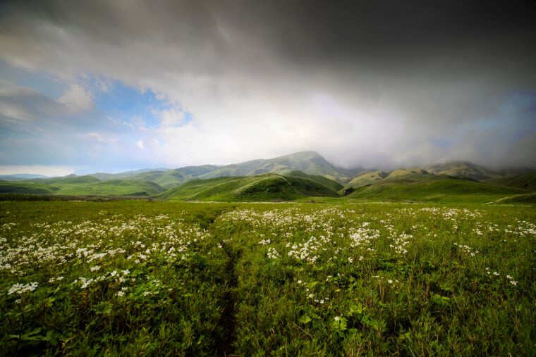 8 Stunning Dzukou Valley Photos That Will Make You Want To Visit ...