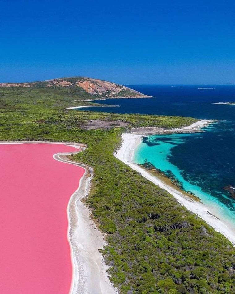 The Pink Lake (Lake Hillier): Why This Australian Lake Looks Like ...